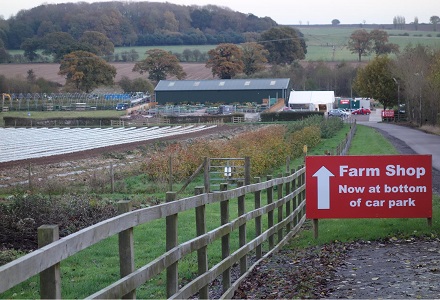 Fire - Malt Kiln Farm Shop | Malt Kiln Farm Shop
