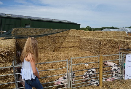 The Opening - Malt Kiln Farm Shop | Malt Kiln Farm Shop