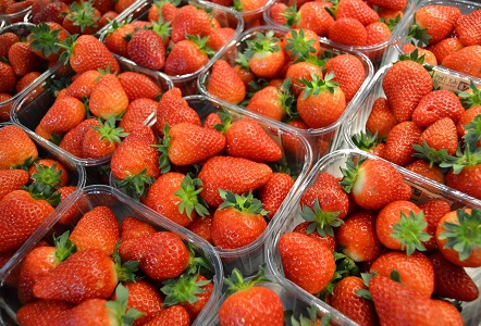 Malt Kiln Farm Shop | Coventry and Warwickshire farmshop